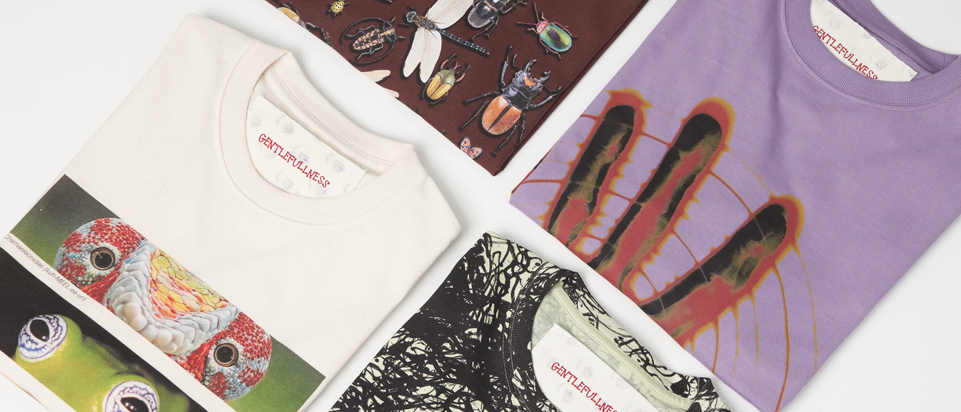 Introducing — Gentle Fullness – HIGHS AND LOWS